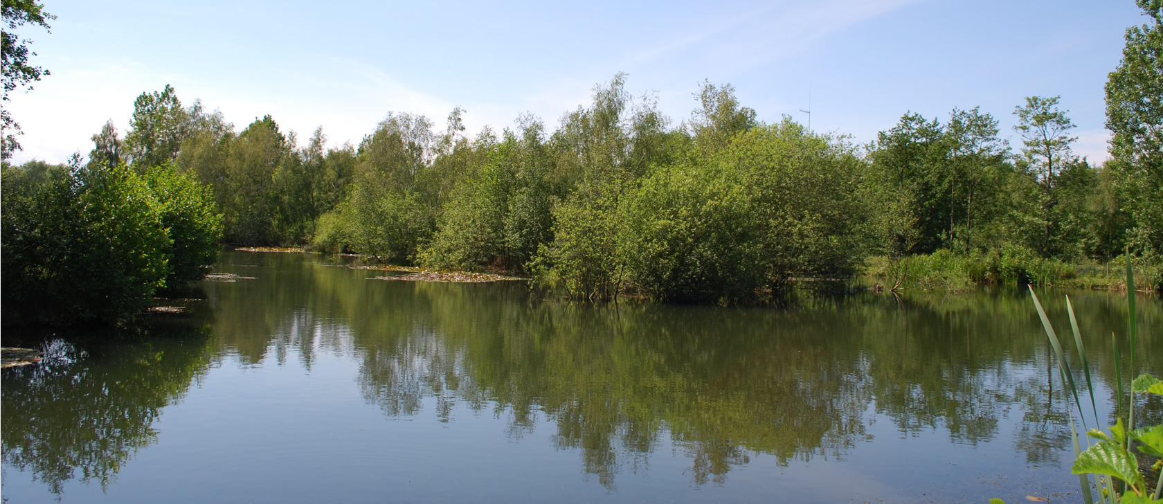 About Our Fishing Lakes & Campsite in Norfolk | Cobbleacre Park